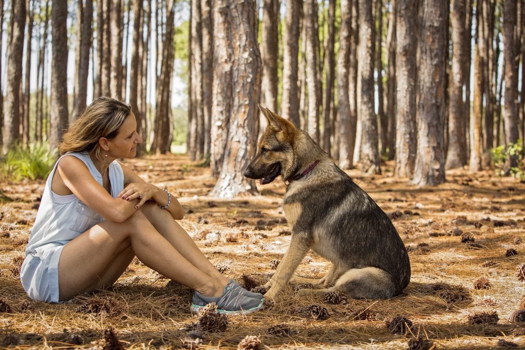 Learn Animal Communication - Nature's Heart